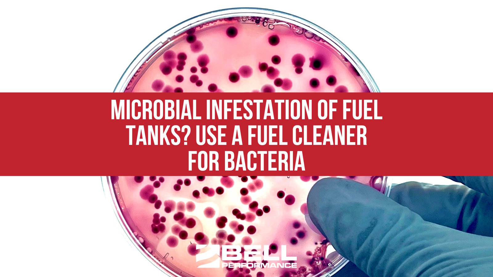 Microbial Infestation of Fuel Tanks? Use a Fuel Cleaner for Bacteria